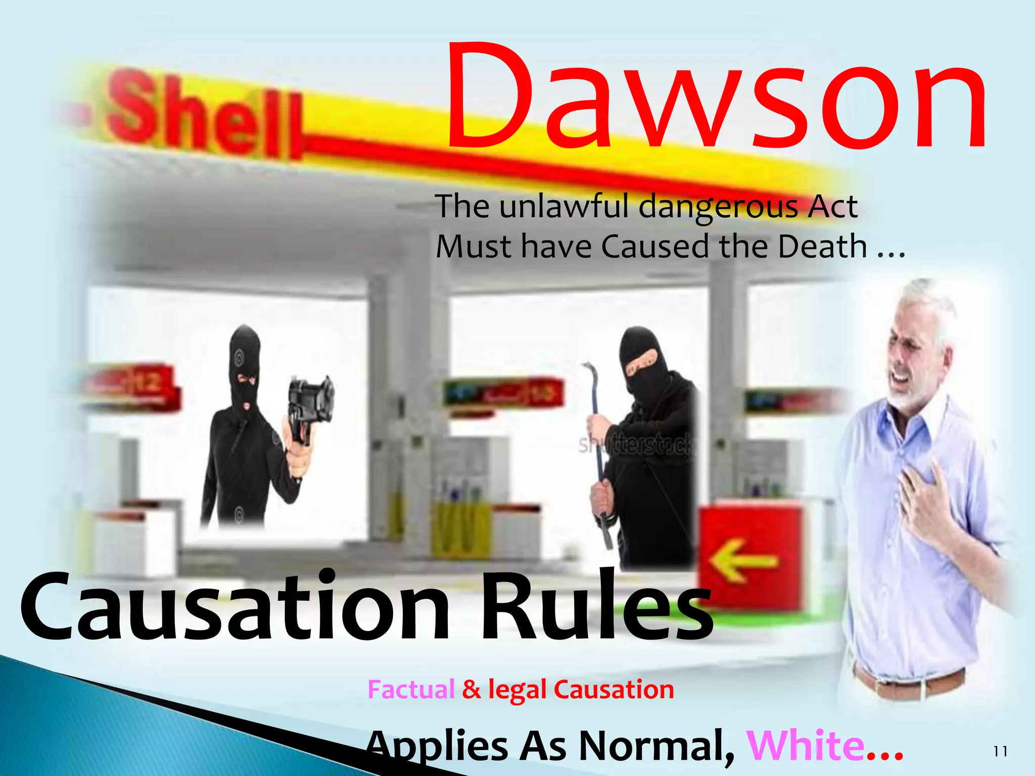 Constructive Manslaughter | PPTX