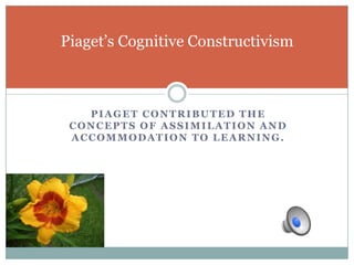 Constructivism new | PPT