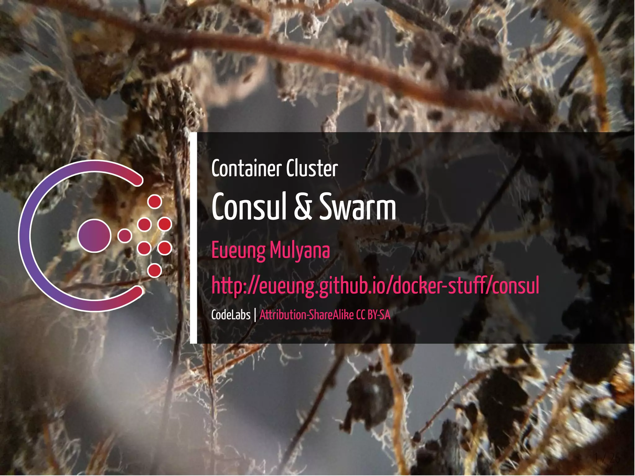 Consul and docker swarm cluster | PDF