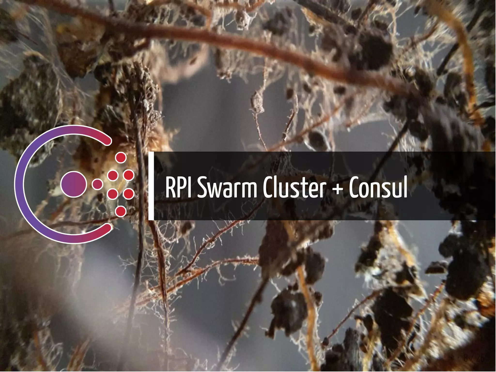 Consul and docker swarm cluster | PDF | Operating Systems | Computer Software and Applications