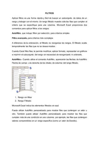 FILTROS Consulta de informatica | DOCX