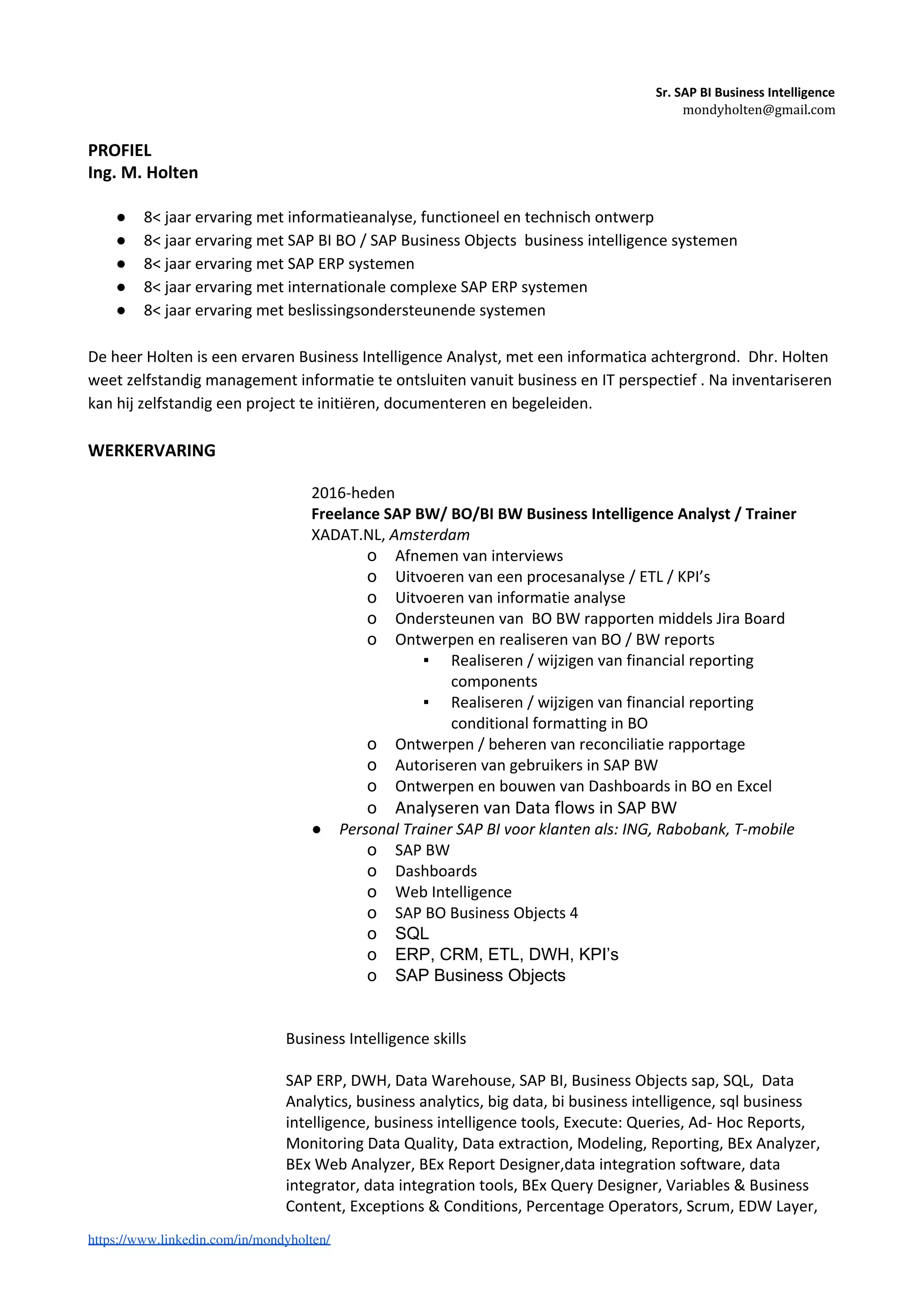 Business Intelligence / IT Consultant | PDF