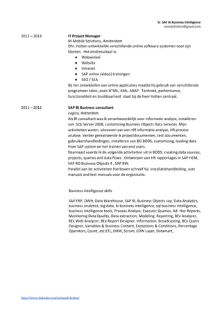 Business Intelligence / IT Consultant | PDF