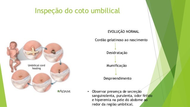 Puericultura - Roteiro de Consulta
