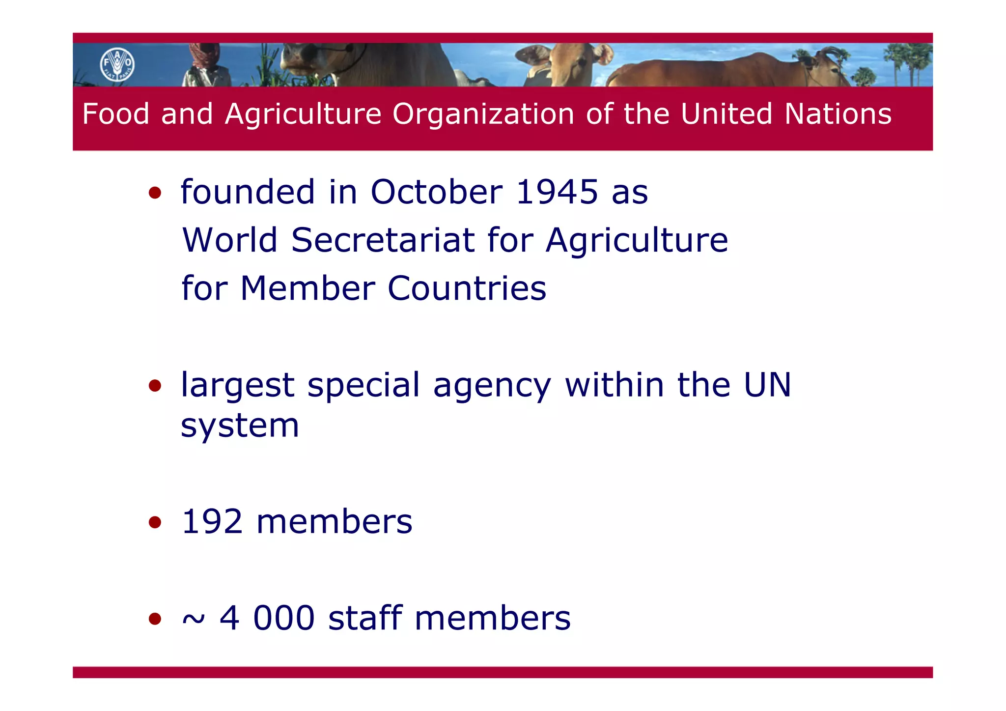 What is FAO? | PDF