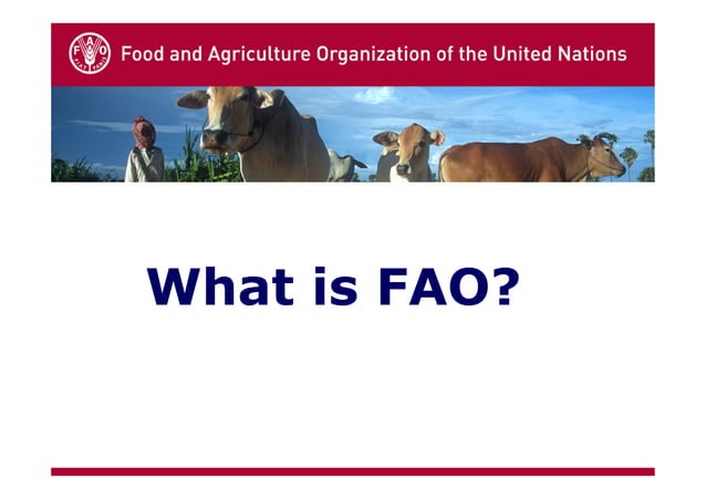 What is FAO? | PPT