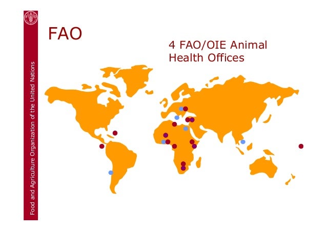 What is FAO?