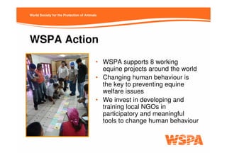 Activities of the World Society for the Protection of Animals | PDF