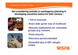 Activities of the World Society for the Protection of Animals | PDF