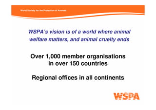 Activities of the World Society for the Protection of Animals | PDF