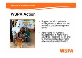Activities of the World Society for the Protection of Animals | PDF