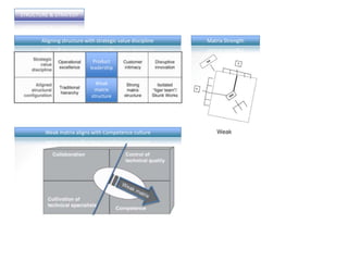 Consulting - Stanford Strategic Framework for Matrix Structures | PPTX
