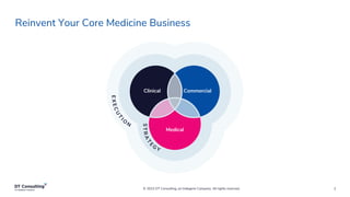 DT Consulting | PDF