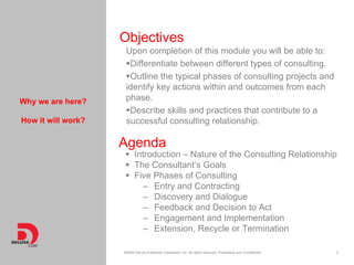 Consulting Overview for Sales Implementation Team | PDF