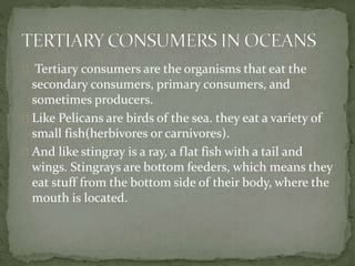 Tertiary Consumers