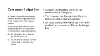 Consumer.Behavior.pptx