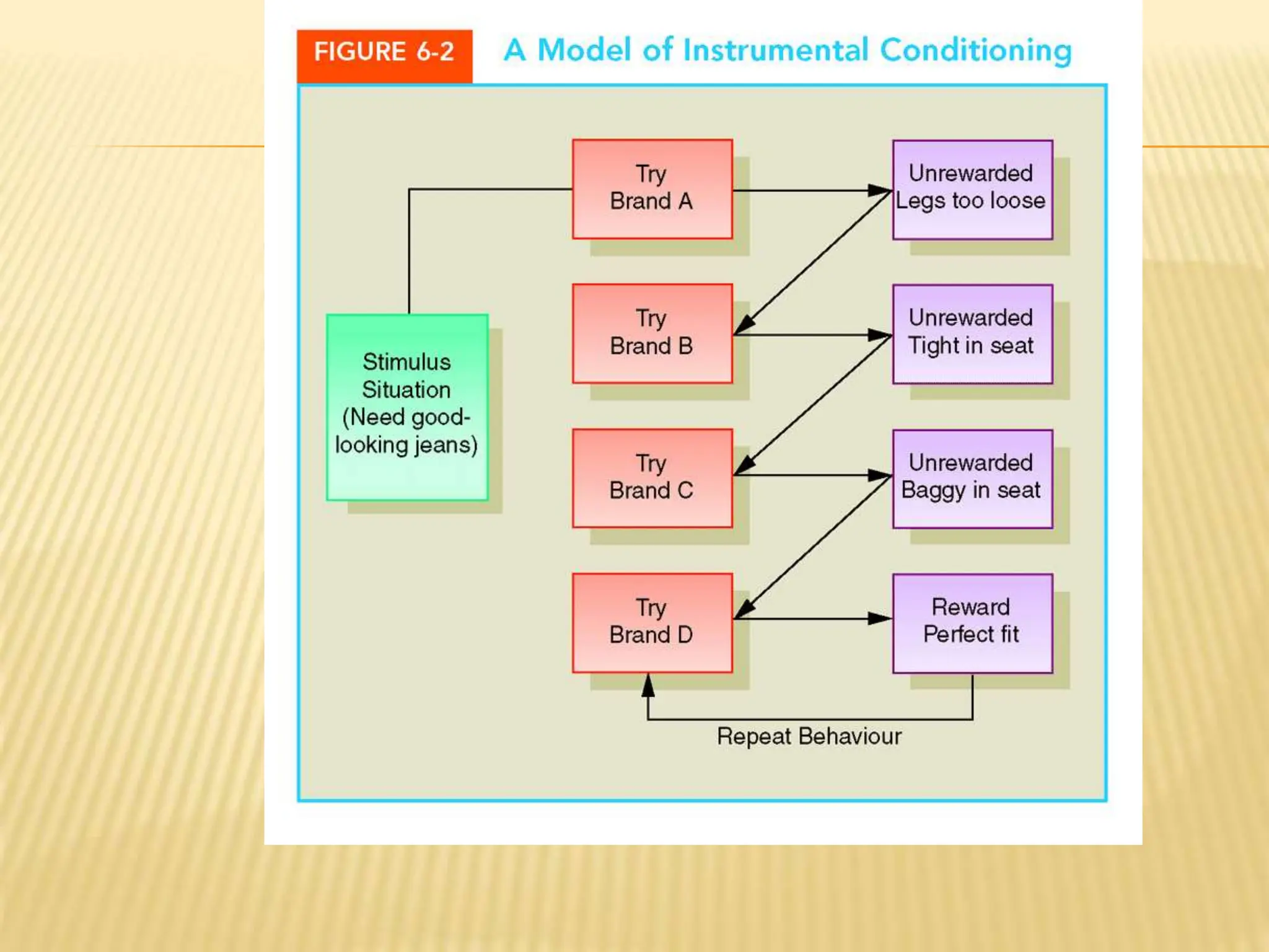 Consumer Learning the meaning and types in consumer behaviour | PPT