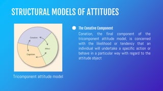 CONSUMER ATTITUDE FORMATION AND CHANGE.pptx