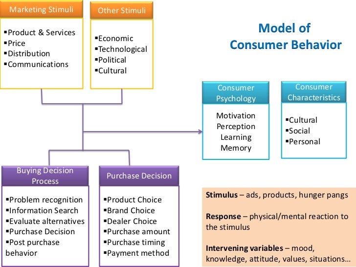 Consumer behavior