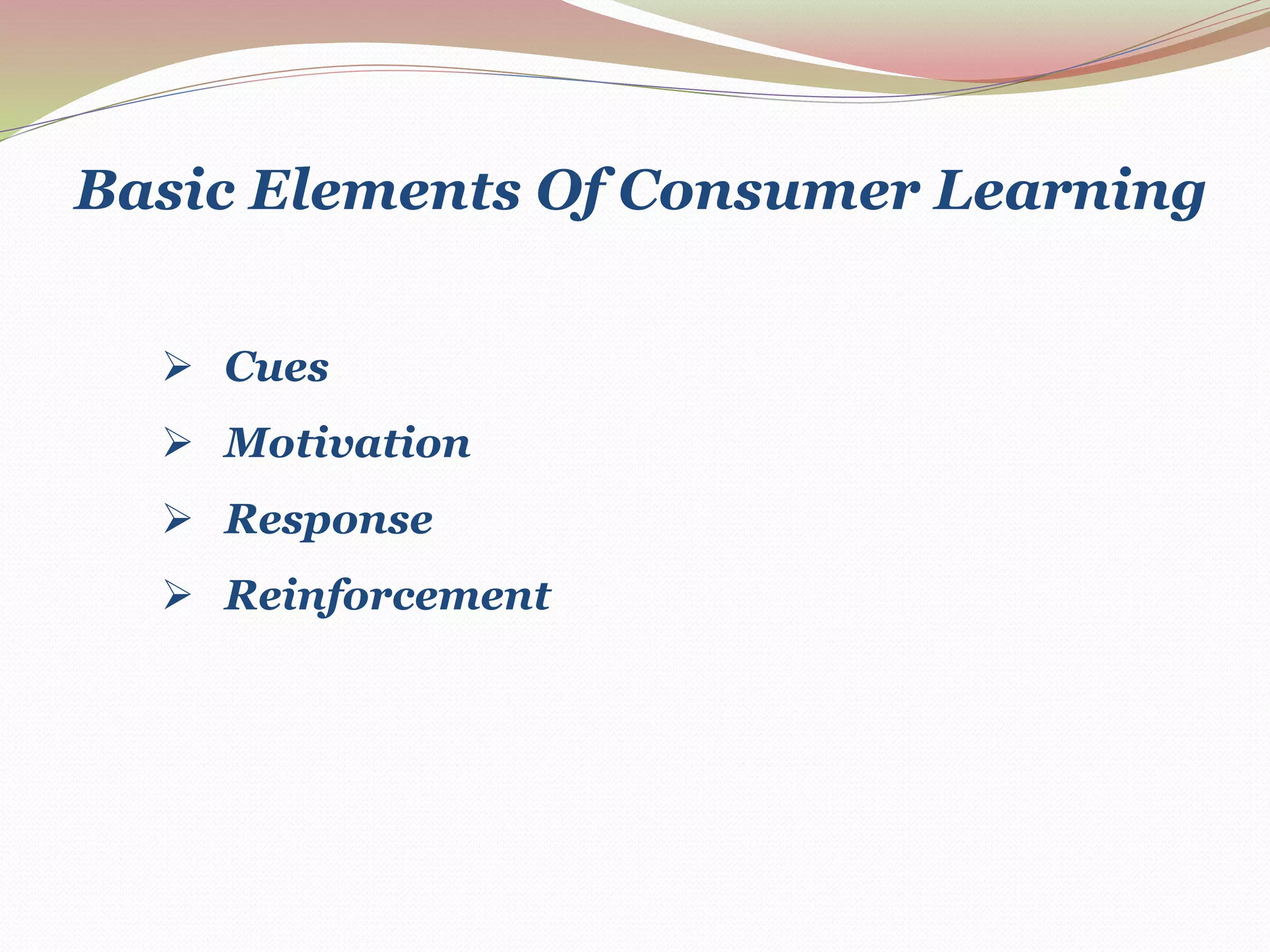 Consumer Learning (Consumer behavior) | PPTX