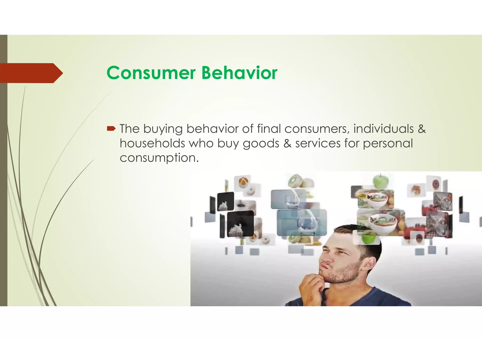 Consumer behavior | PDF