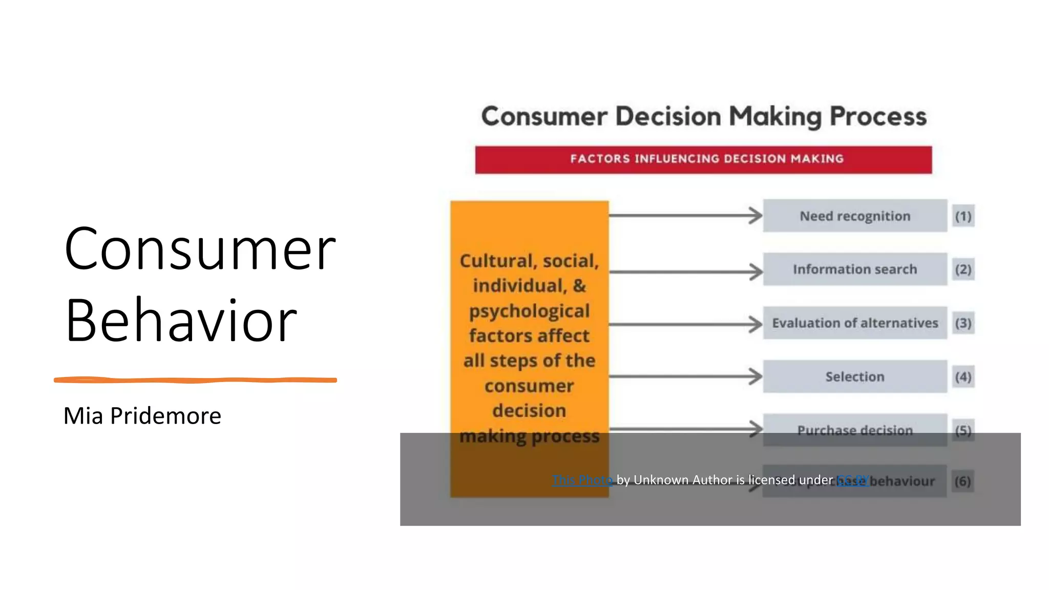 Consumer Behavior: Point Of View | PPT