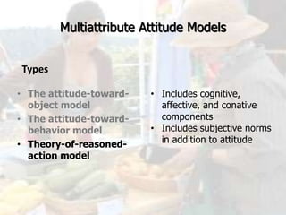 Consumer behavior and attitude | PPTX | Advertising Industry | Industries