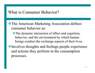 Consumer Behavior and Marketing Strategy chapter 1 moghimi | PDF