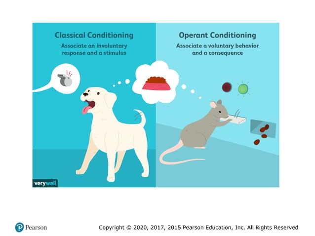 consumer behavior chapter 4.pptx