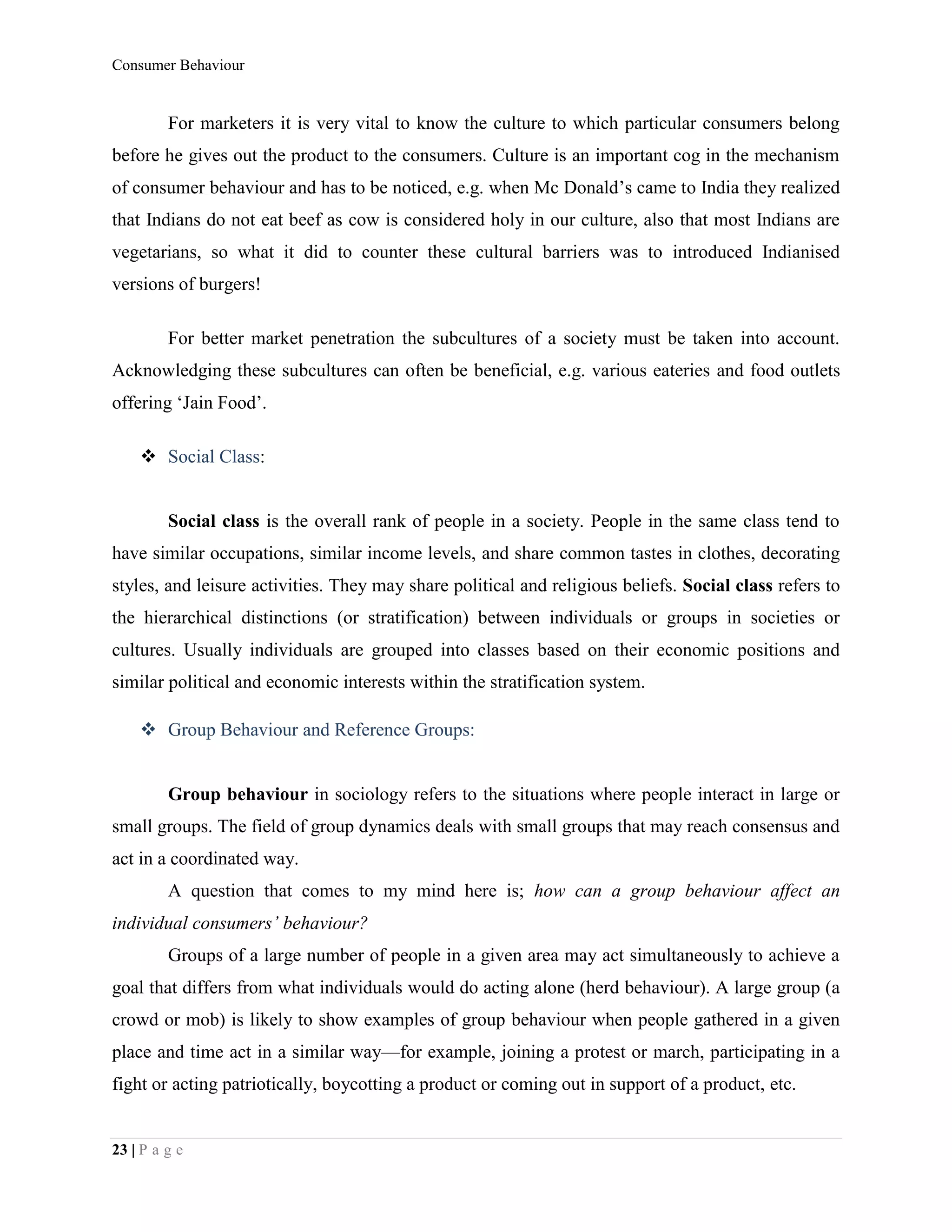 Consumer Behavior Project | DOCX