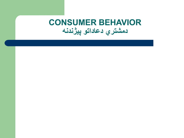 Consumer Behavior pushto.ppt