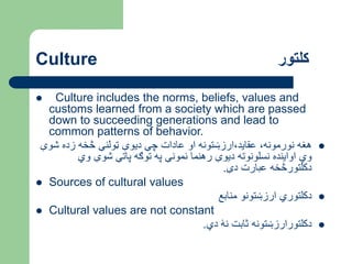 Consumer Behavior pushto.ppt