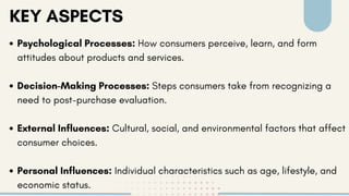 Comprehensive Guide to Consumer Behavior | PDF