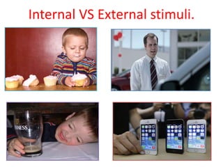 Consumer behaviour | PPTX