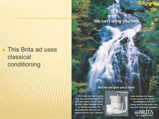 Consumer Behaviour | PPT