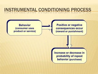 Consumer Behaviour | PPT