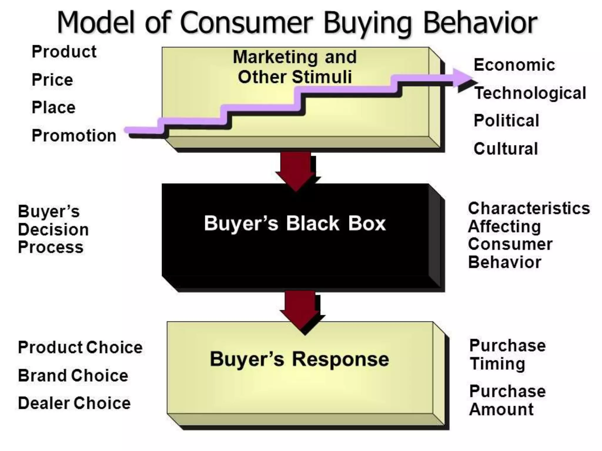 Consumer behaviour | PPT