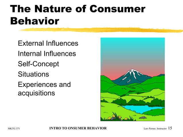 Consumer behaviour effect | PPT
