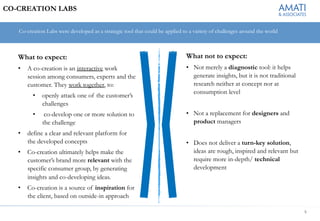 Co-creation Workshops with Consumers and Experts | PDF