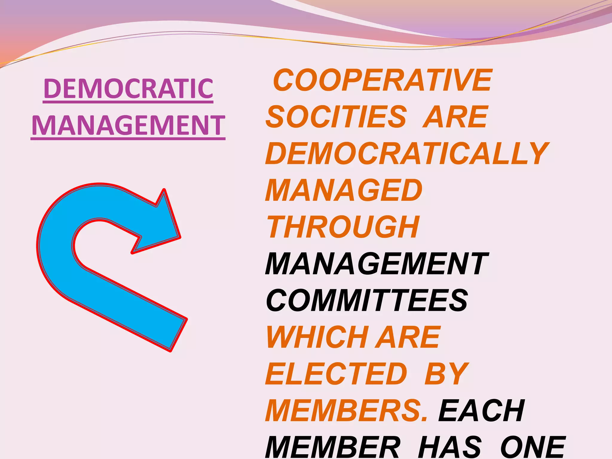 Consumer cooperative stores ppt | PPTX