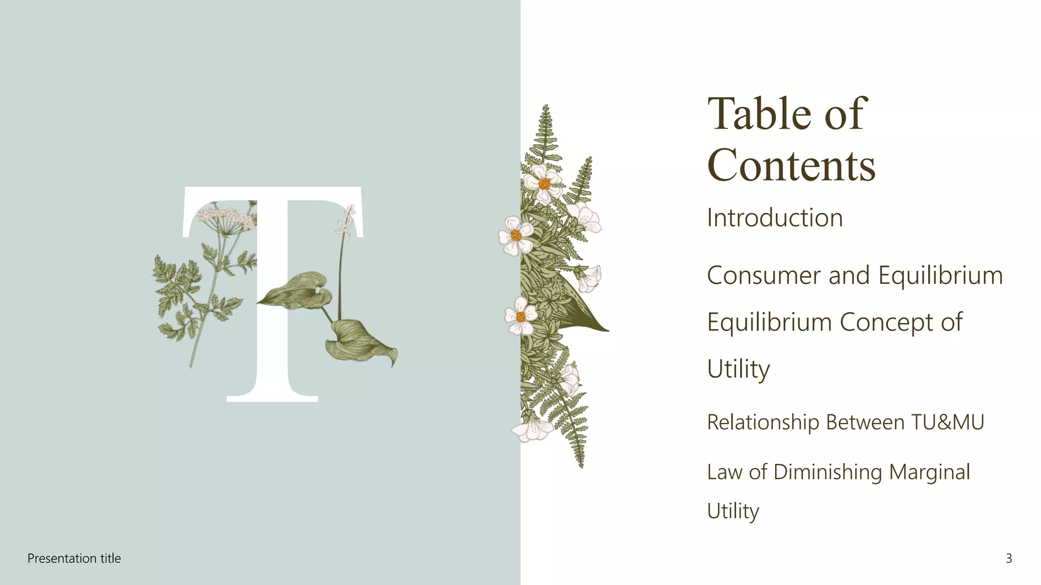 Consumer Equilibrium.pptx