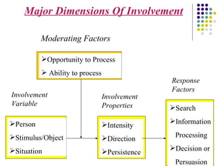 Consumer Involvement 1 | PPT