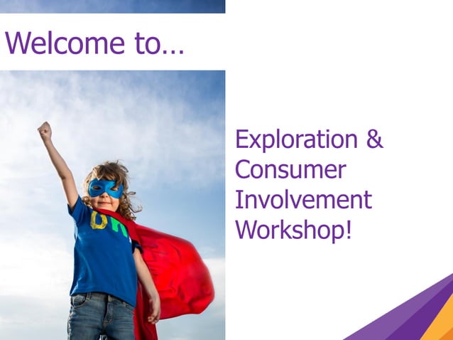 Consumer Involvement Theory | PDF