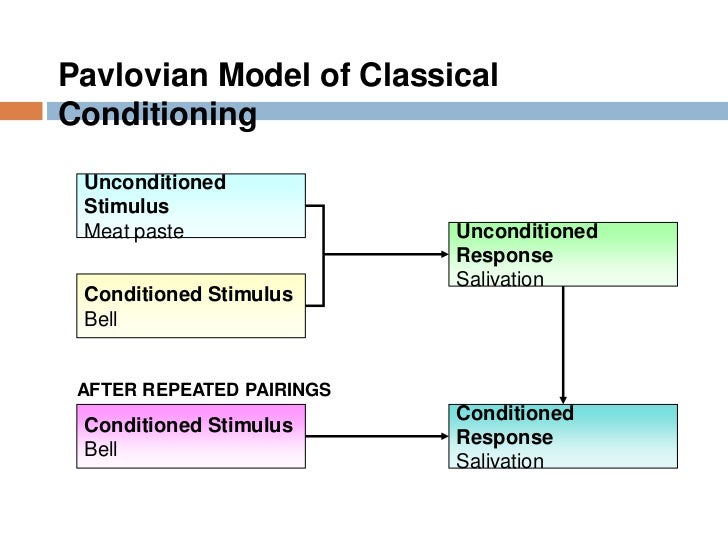 Classical Conditioning Model Example