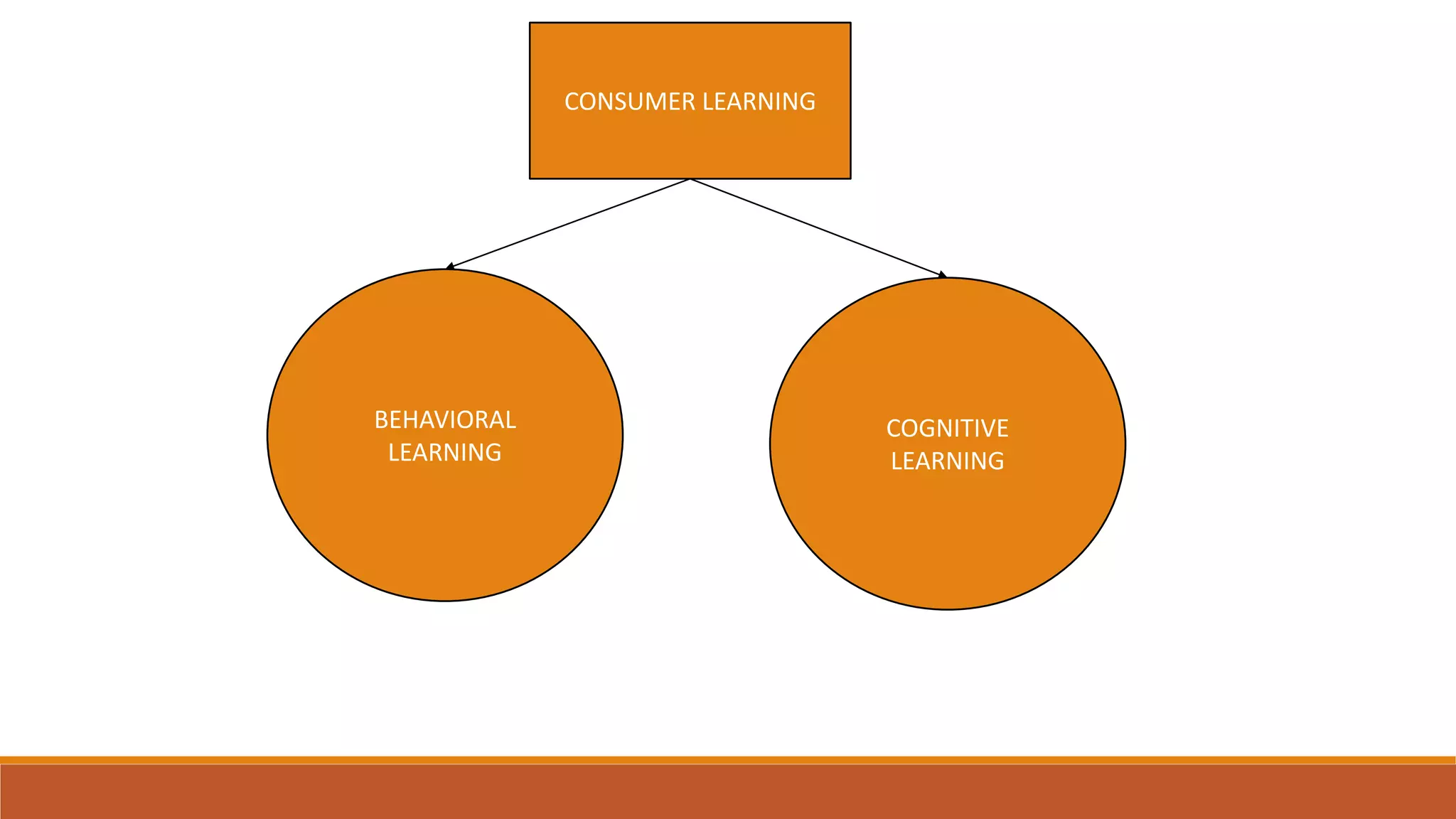 Consumer learning | PPTX