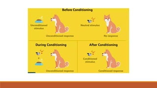 Consumer learning | PPT