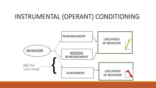 Consumer learning | PPT