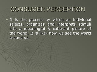 Consumer perception | PPT