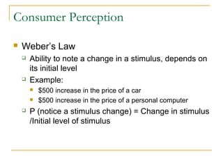 Consumer perception 05 | PPT