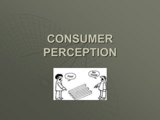 Consumer perception (1) | PPT